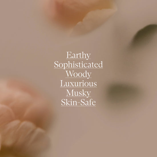BELNU — Rose Steady
